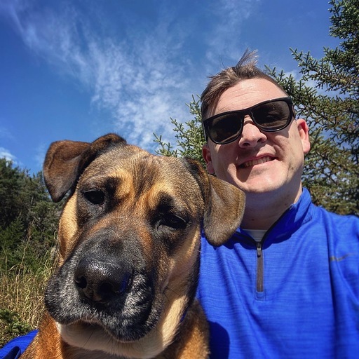 Explore Automotive SaaS Jobs - Impel AI